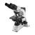 Optika B-500Bph binocular phase-contrast microscope, 40 - 100x, plan ...