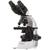 Optika Microscope B-159, binocular, 1000x, IVD