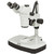 Motic Stereo zoom microscope SMZ-168-TL, trino, 7,5x - 50x
