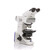 ZEISS Microscope Axiolab 5 Pol, bino, infinity, plan, 5x, 10x, 20x, 10x ...