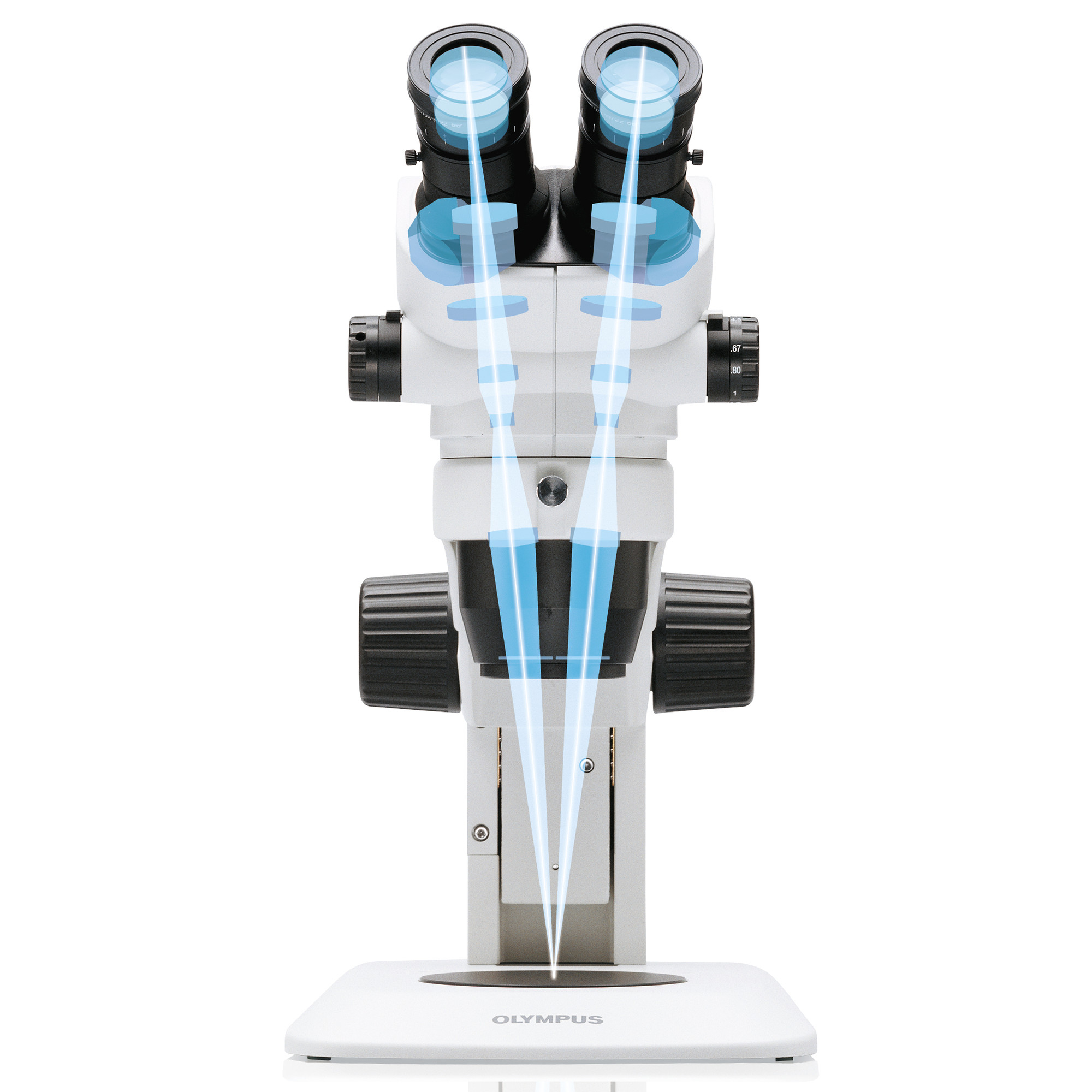 Evident Olympus Stereo zoom microscope SZ61, for transmitted light ...