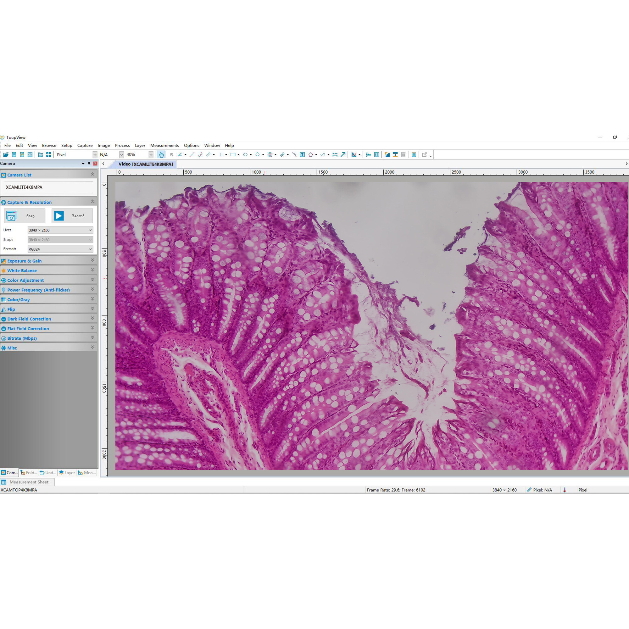 ToupTek Camera ToupCam XCAMLITE4K 8MPA, colour, CMOS, 1/1.8", 2 µm, 30/ ...