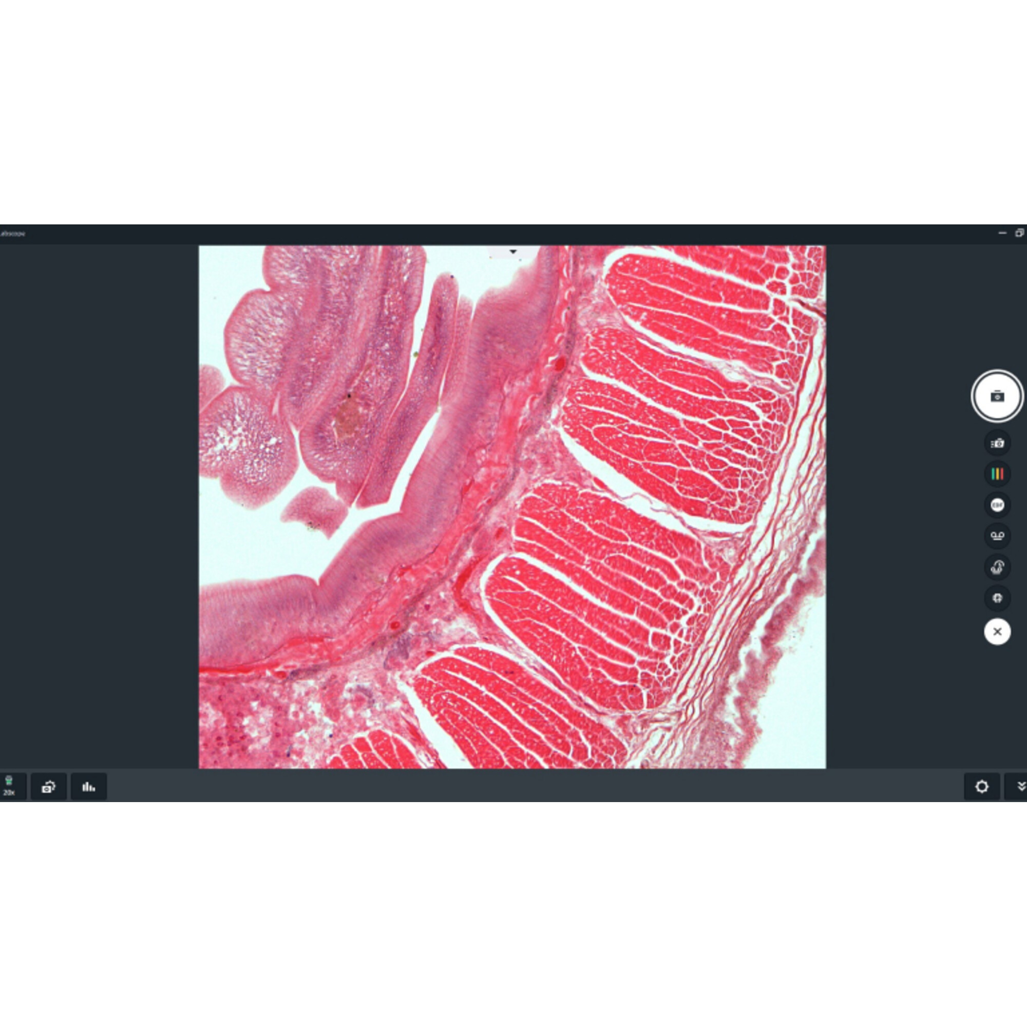 ZEISS Labscope 4.5 software (Windows) – download