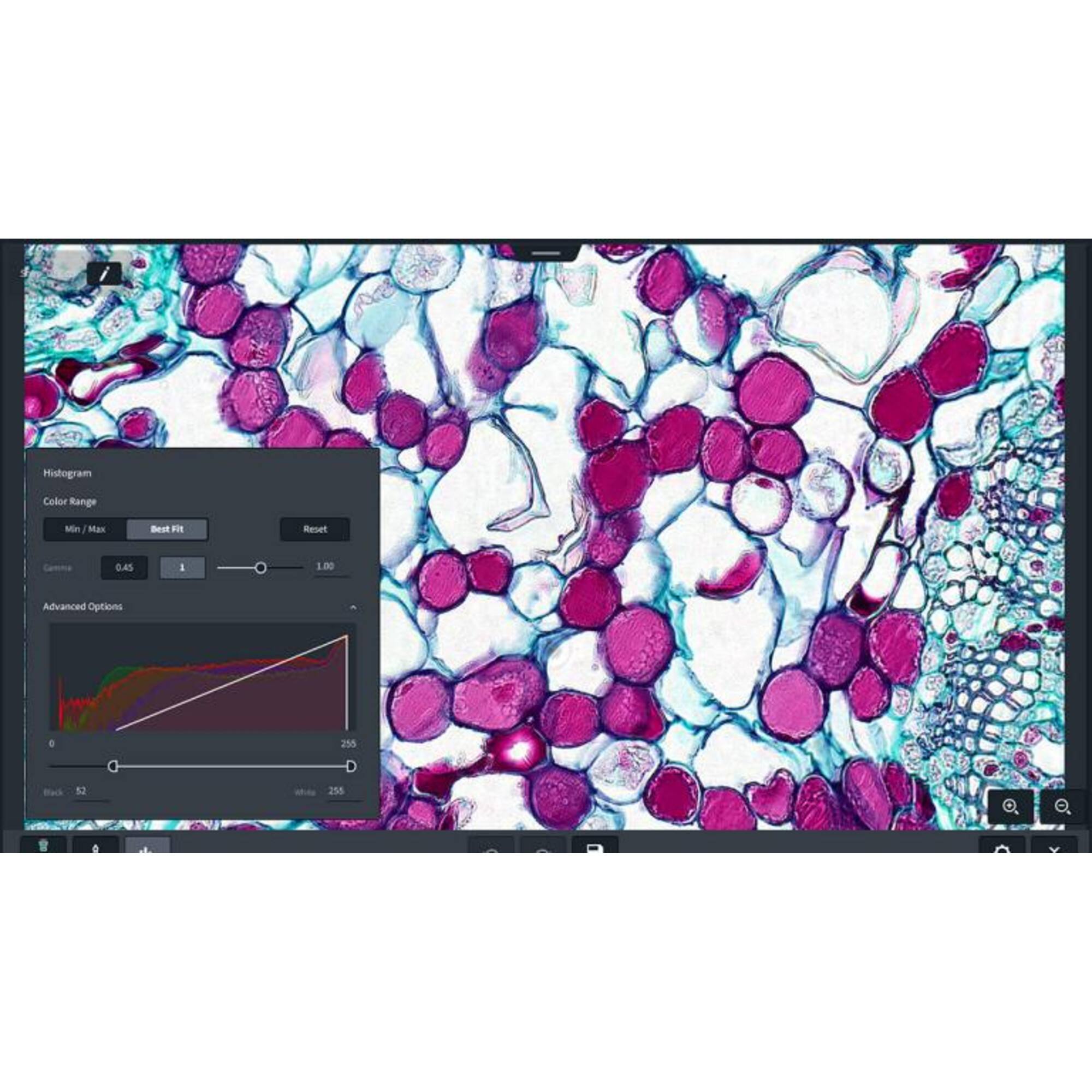 ZEISS Software Labscope Modul AI Cell Counting Chamber DLic