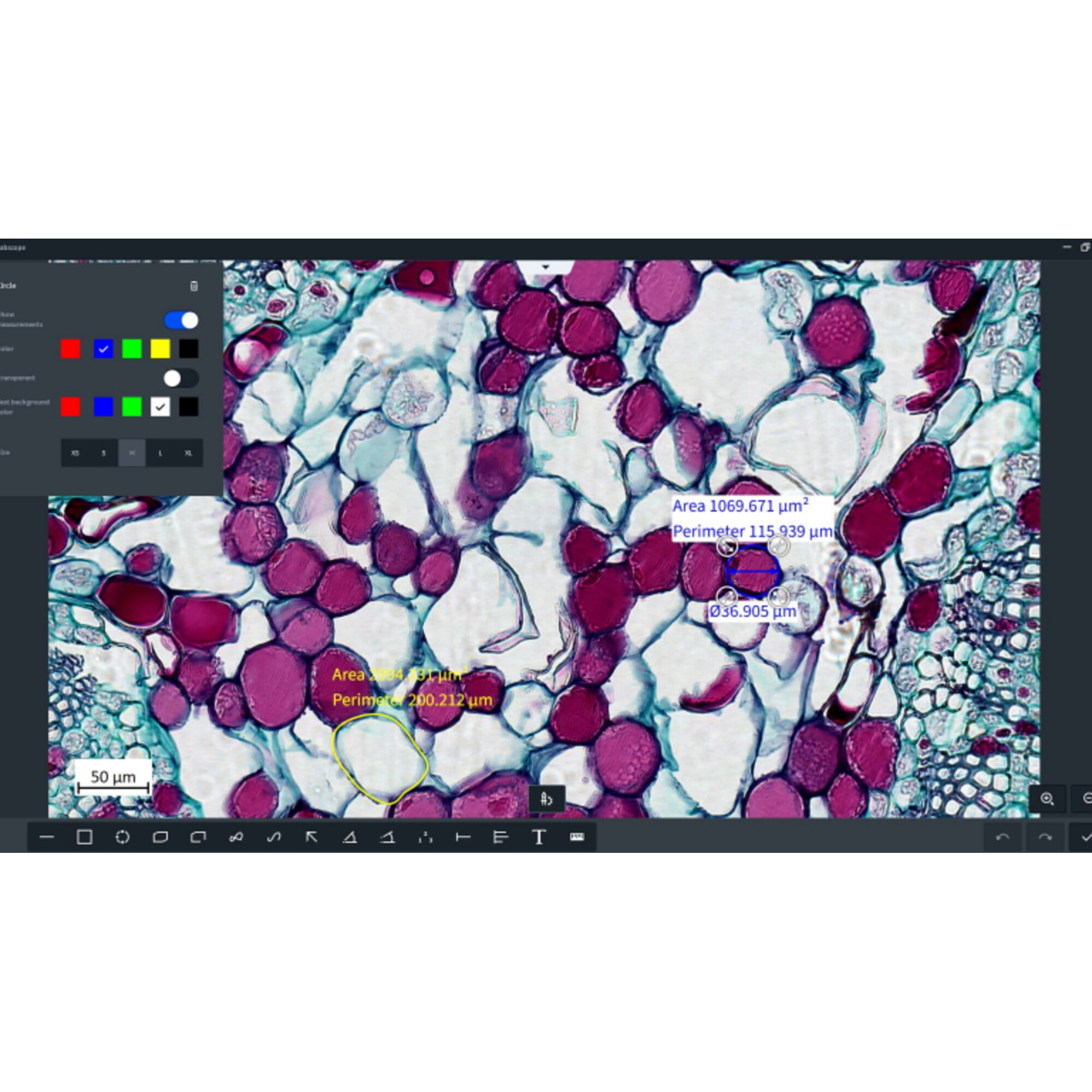 ZEISS Labscope 4.5 software (Windows) – download