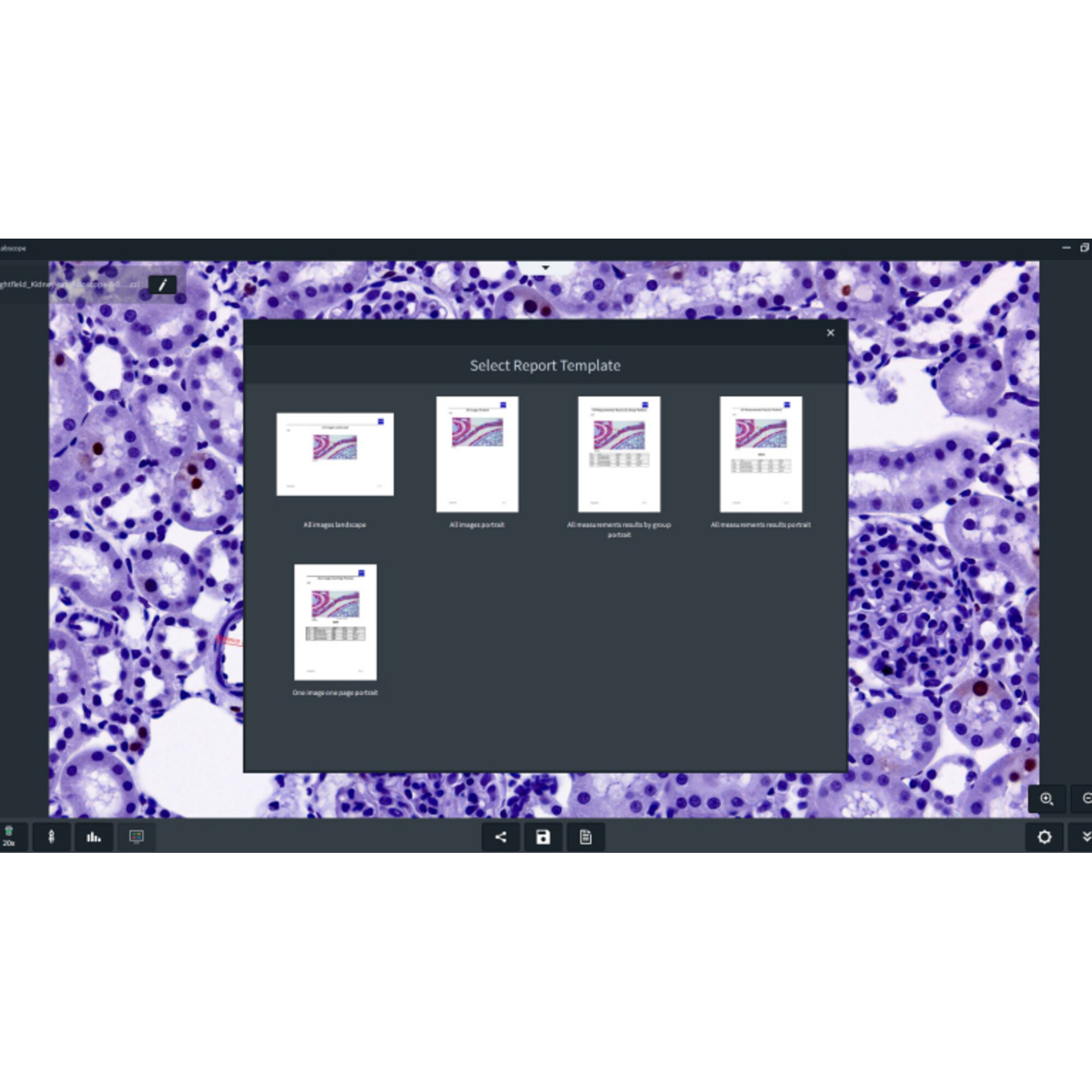 ZEISS Labscope 4.5 software (Windows) – download