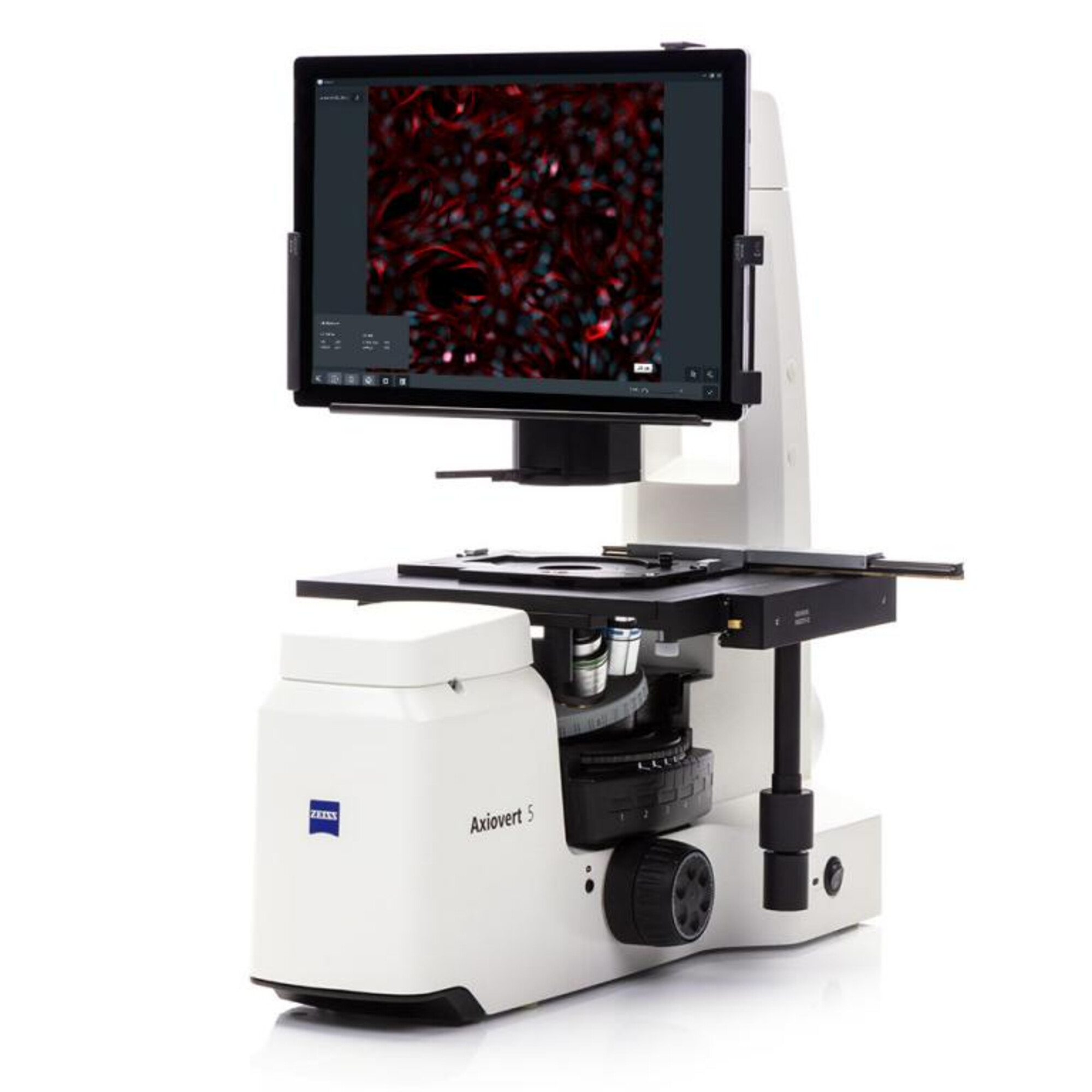 ZEISS Microscope Axiovert 5 Digital, PH, FL, 50-400x, Ph1, 0.4 NA, LED ...